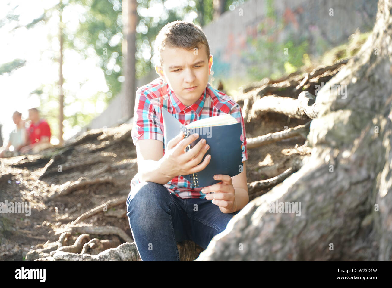 Teenage boy reading exercise book on the nature Stock Photo - Alamy