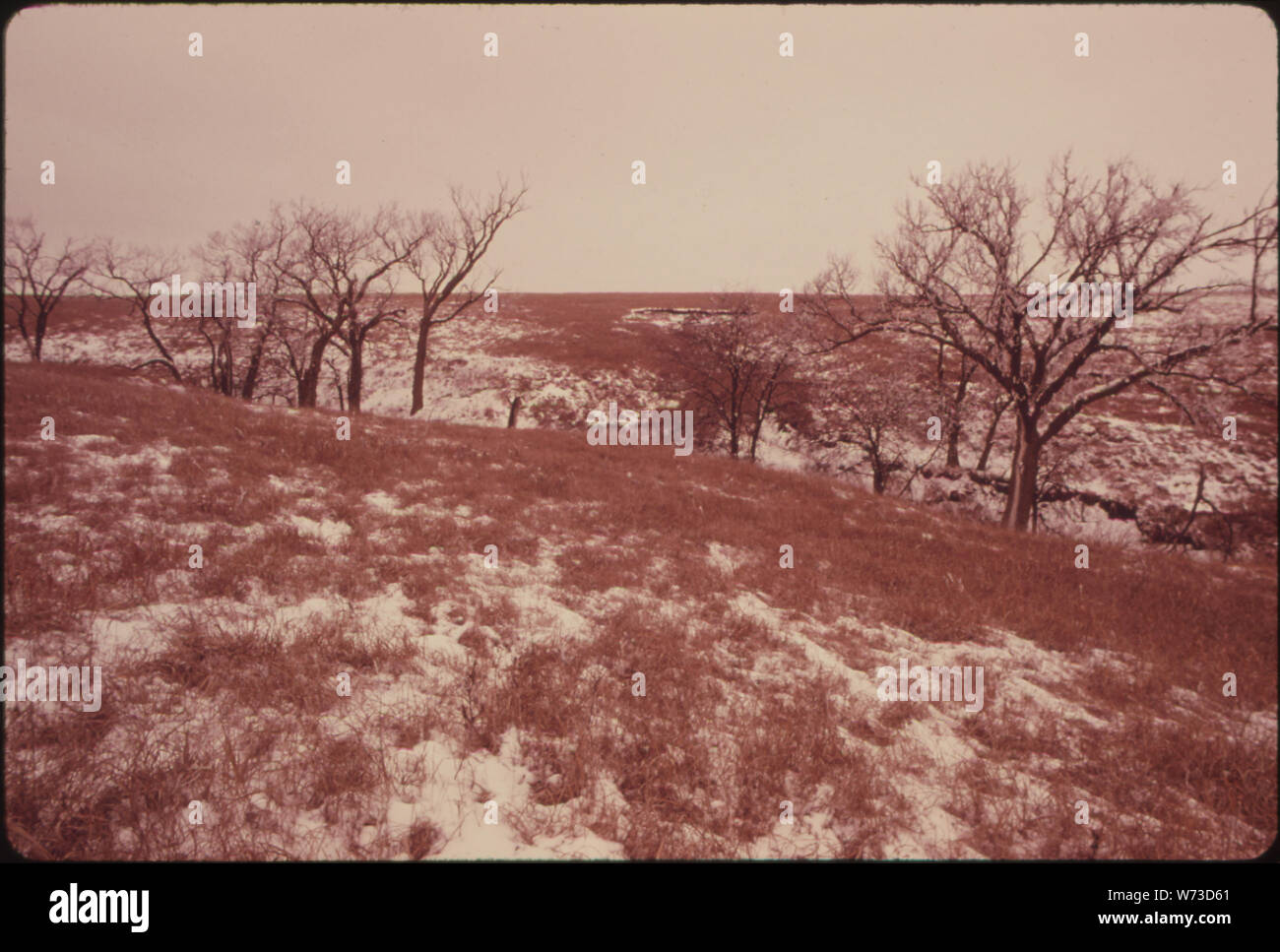 VIEW OF THE KONZA PRAIRIE, 1,000 ACRES OF VIRGIN TALLGRASS PRAIRIE NEAR ...
