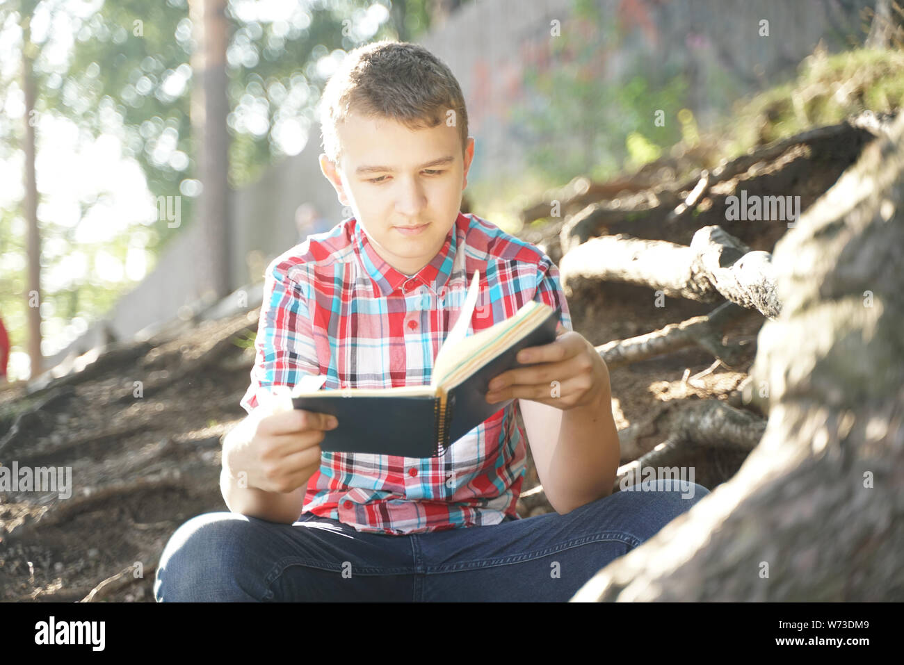 Teenage boy reading exercise book on the nature Stock Photo - Alamy