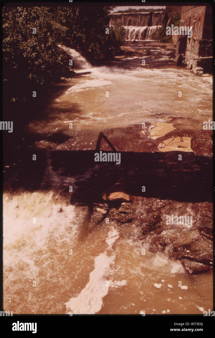 WASTE FROM THE WEYERHAEUSER MILL IS DISCHARGED INTO THE WHITMAN RIVER ...
