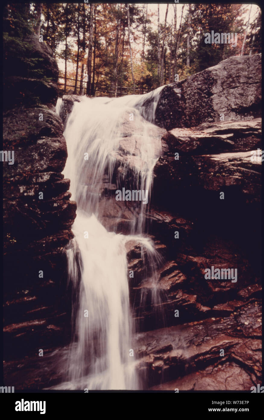WATERFALL FROM FLUME BROOK FALLING INTO FLUME GORGE IN THE FRANCONIA ...