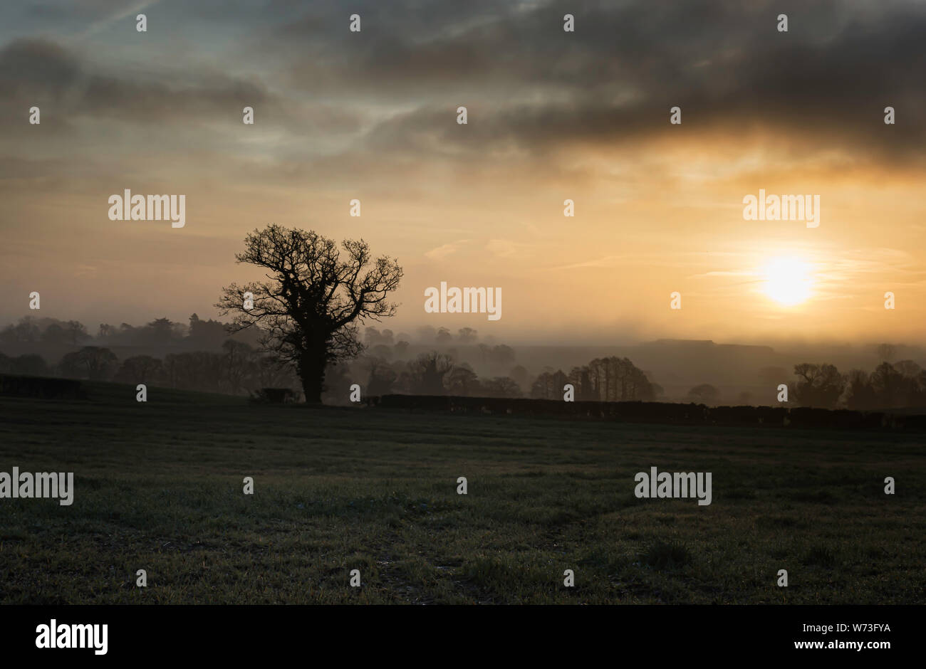 Beautiful sunrise scene on Staffordshire countryside.Dramatic sky and ...