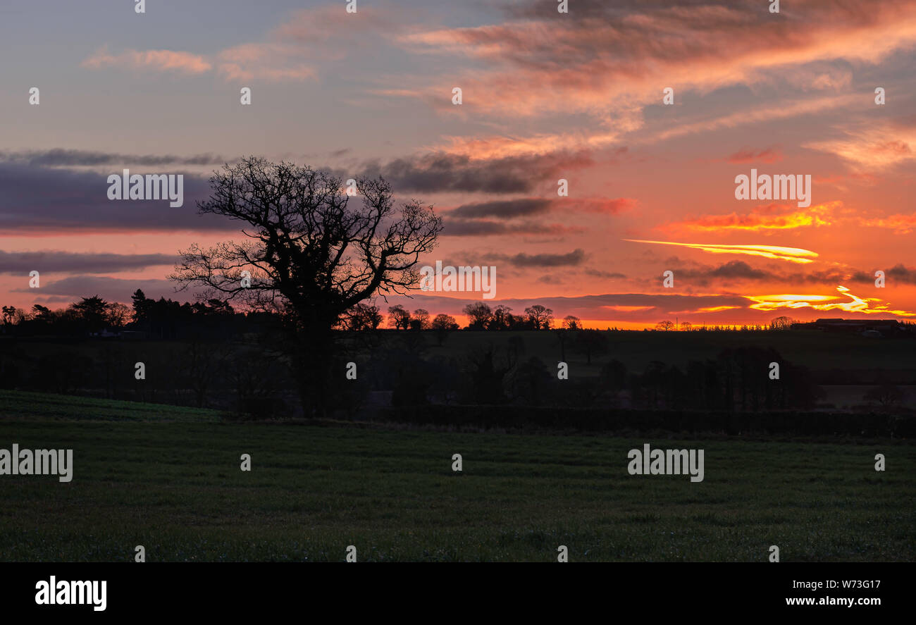 Beautiful sunrise scene on Staffordshire countryside.Dramatic sky and ...