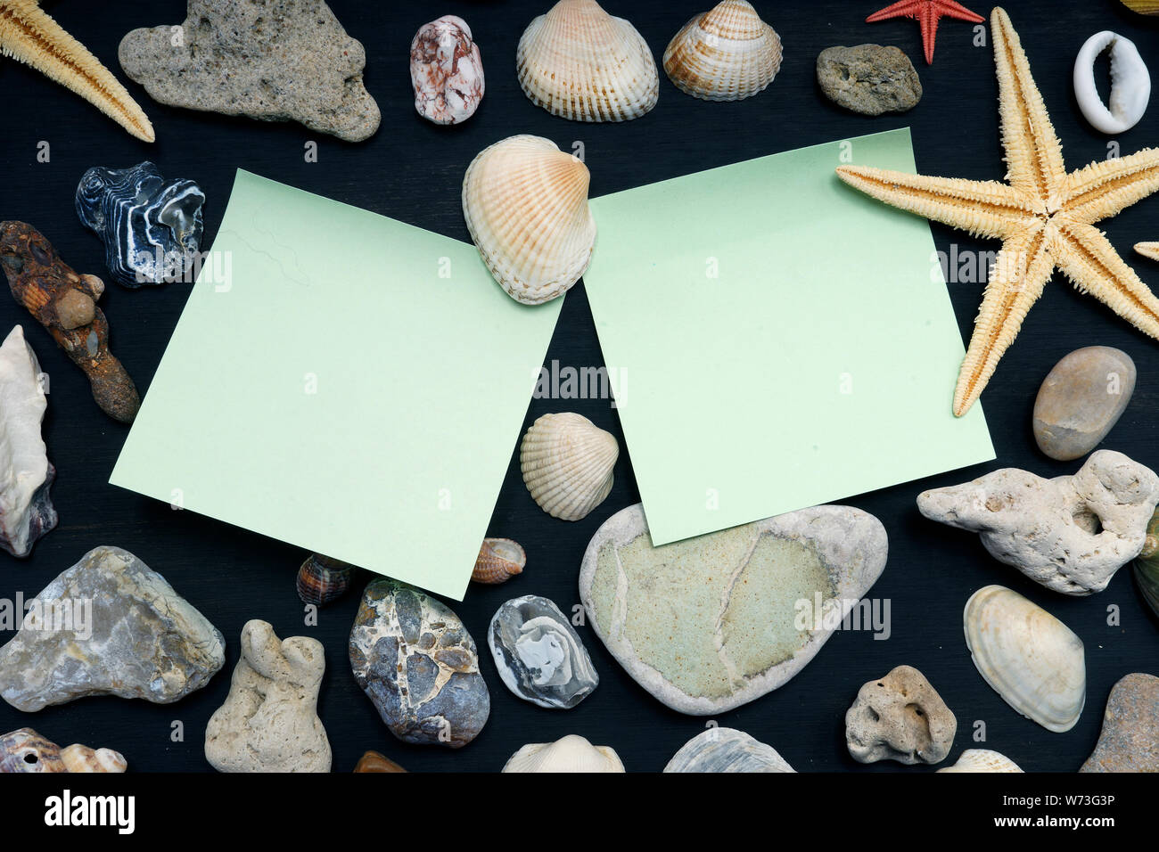 Sea shell collage hi-res stock photography and images - Alamy