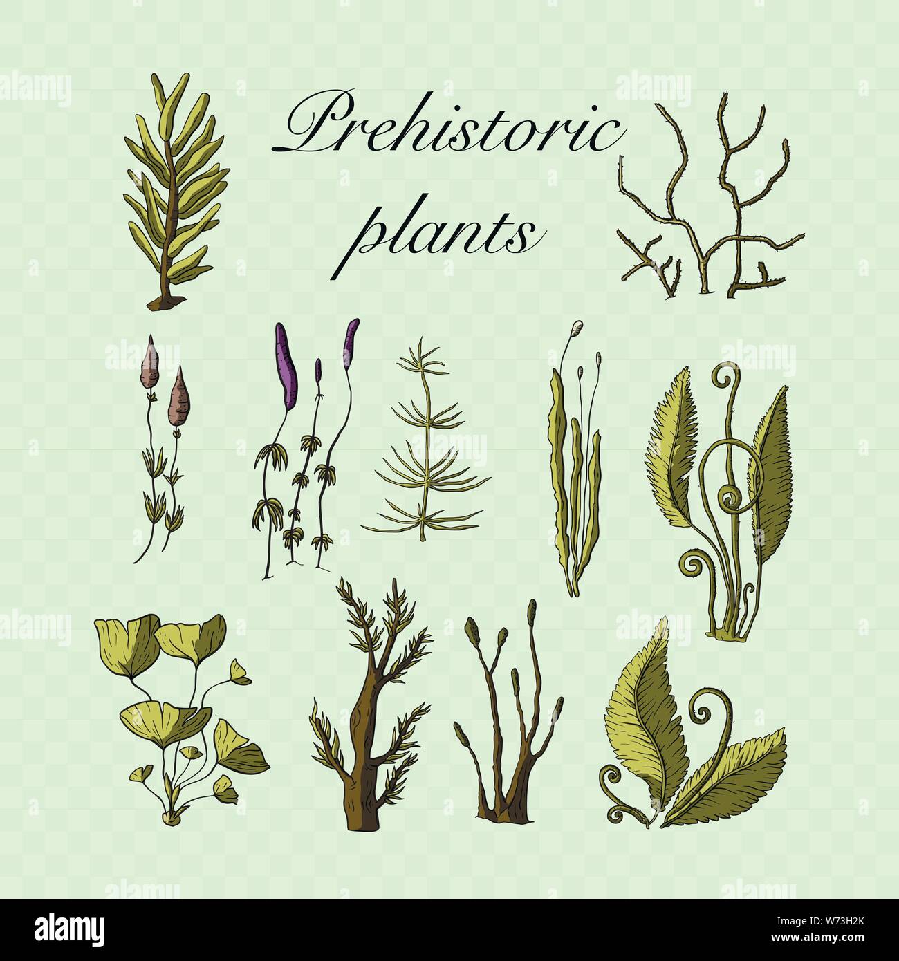 Prehistoric vector plants. Differenr extinct greenery, Cartoon ...