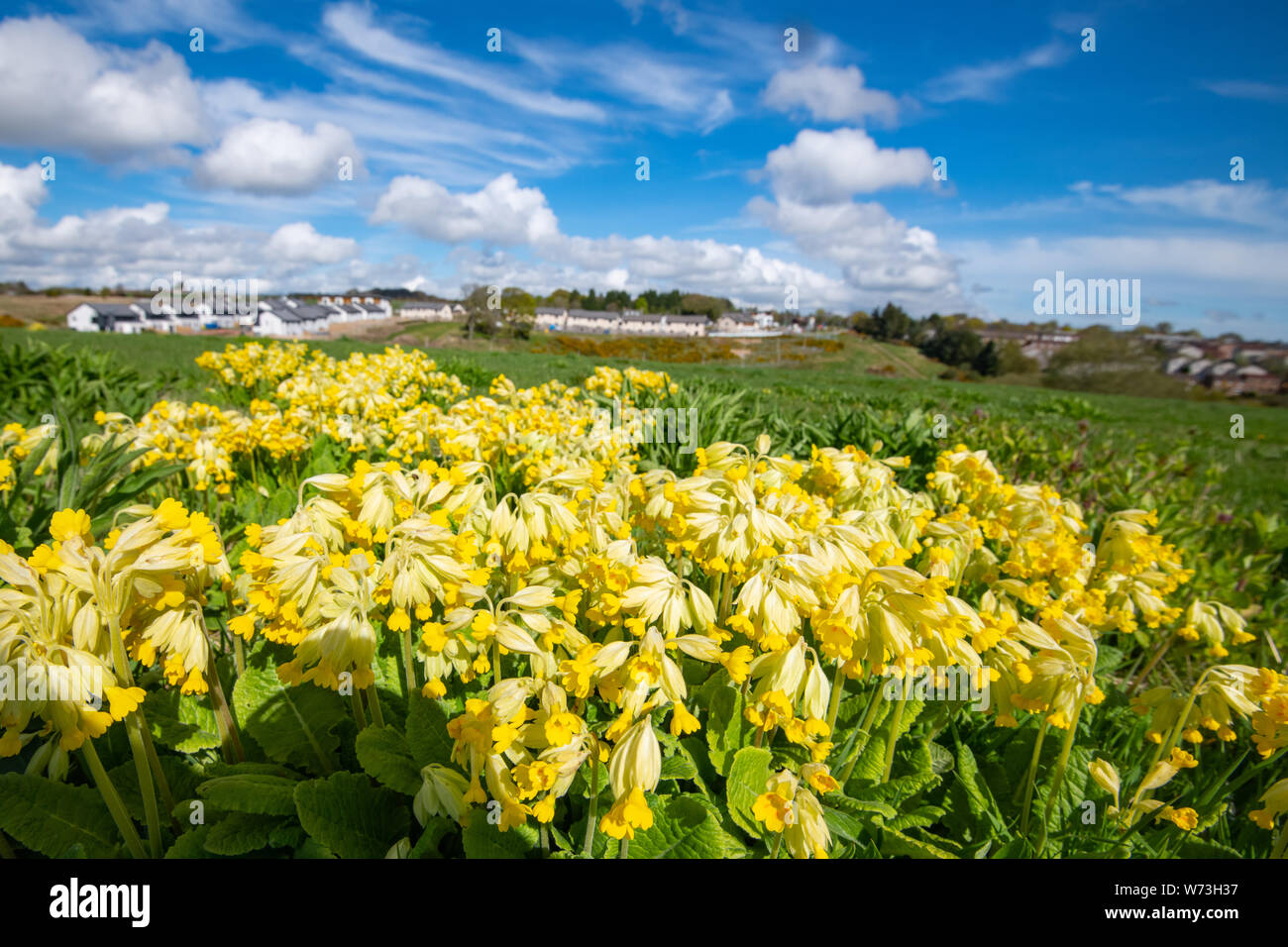 Den of maidencraig hi-res stock photography and images - Alamy