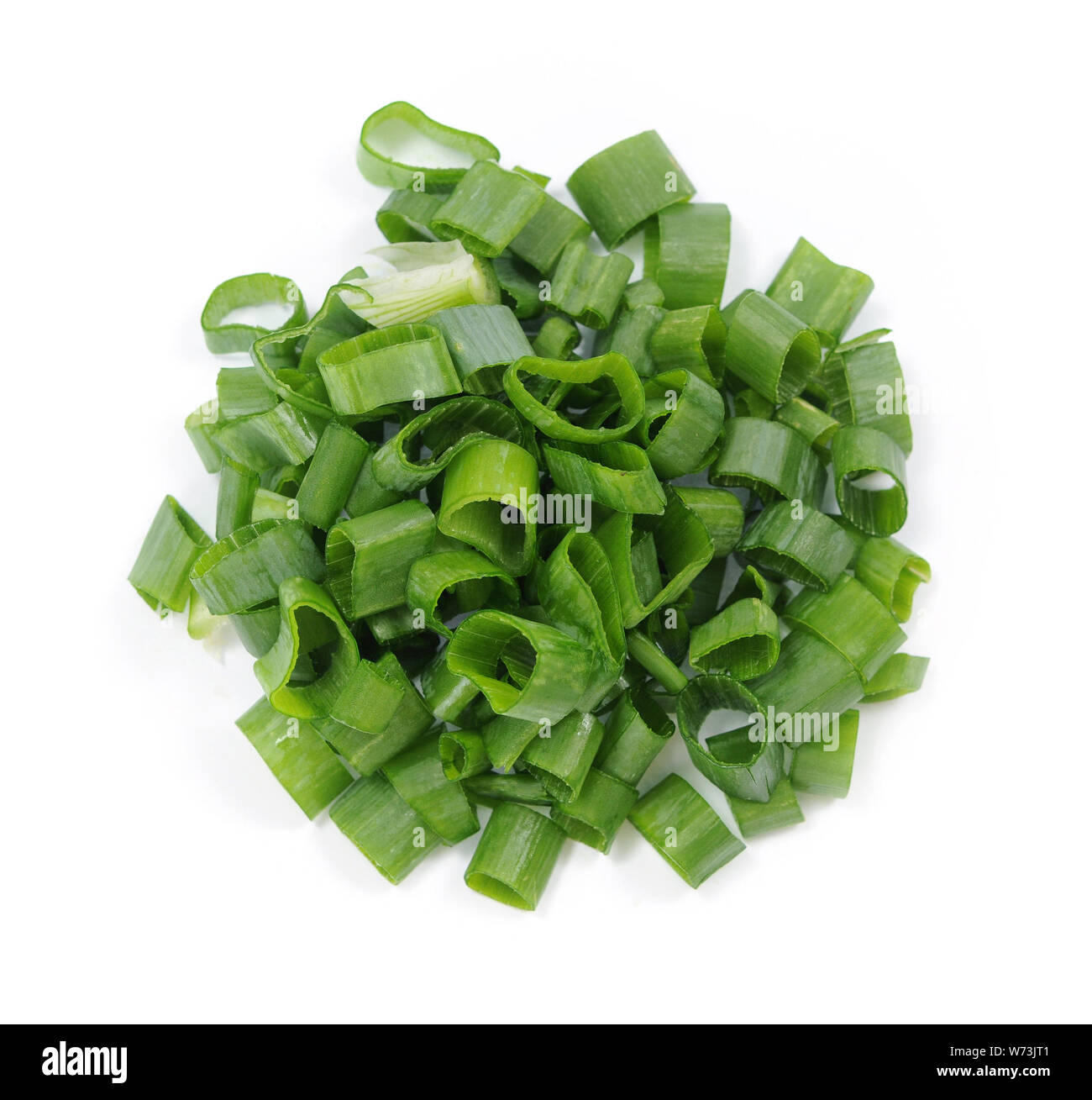 Oval leaf pattern Cut Out Stock Images & Pictures - Alamy