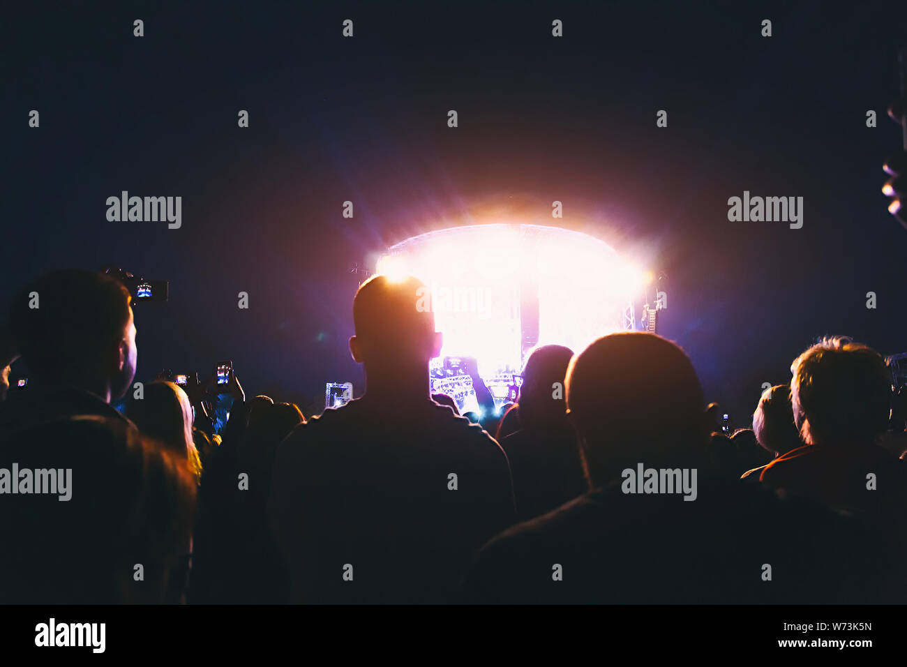 The audience watching the concert on stage. Crowd of fun and clap ...