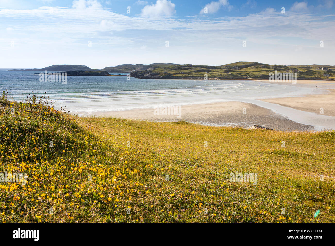 sandy beach with dune grass in Scotland, Isle of Lewis at low tide ...