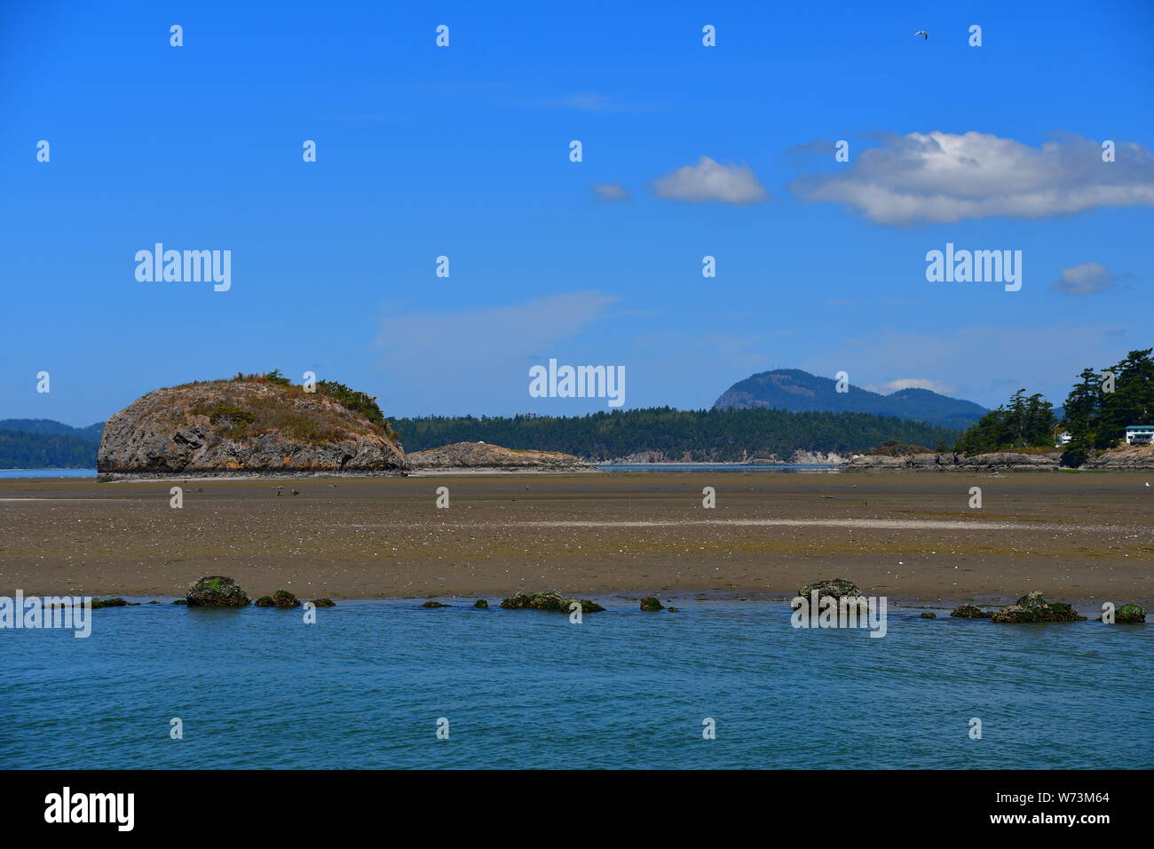 Salish sea hi-res stock photography and images - Alamy