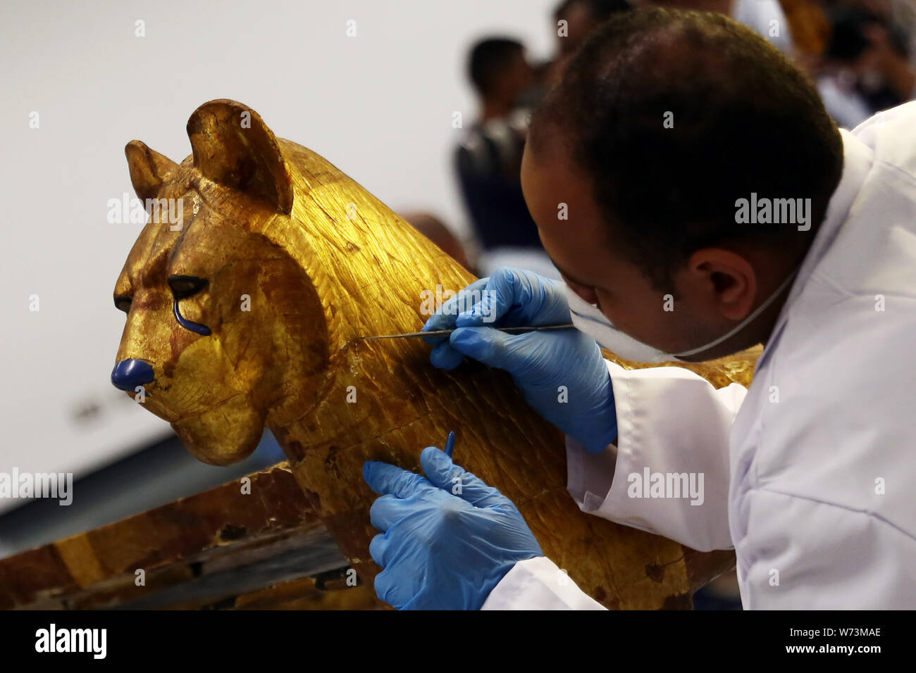 Egypt museum giza laboratory hi-res stock photography and images - Alamy