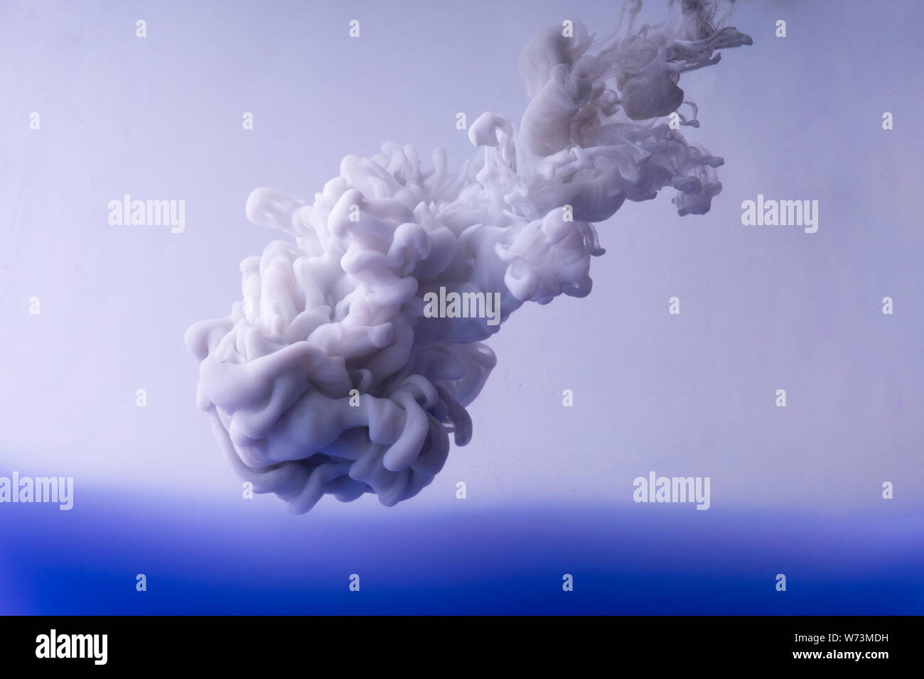 Colorful Ink swirling in water. Cloud of silky ink on white background ...