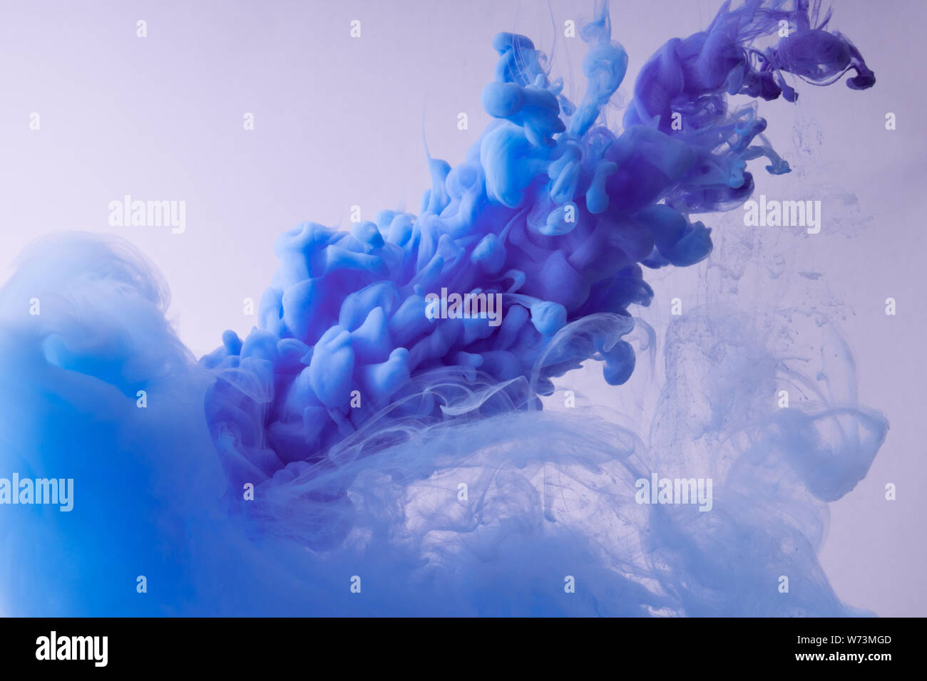 Colorful Ink swirling in water. Cloud of silky ink on white background ...