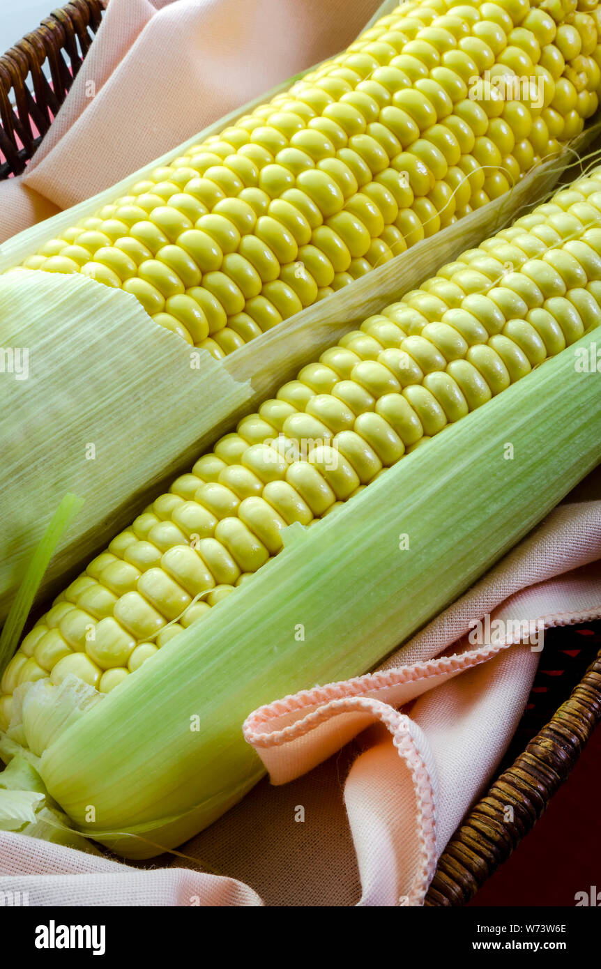 Two cobs of fresh corn both lying in a basket ready for cooking Stock ...