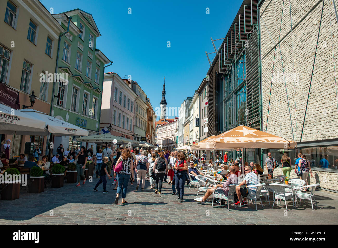 Tallinn Main street with its cobbled streets shops and cafes Stock ...