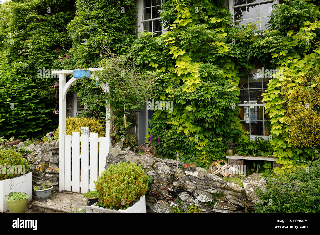 Bed of greenery hi-res stock photography and images - Alamy
