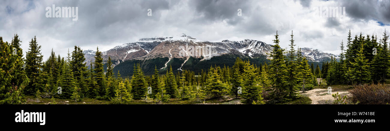Bow summit lookout trail hi-res stock photography and images - Alamy