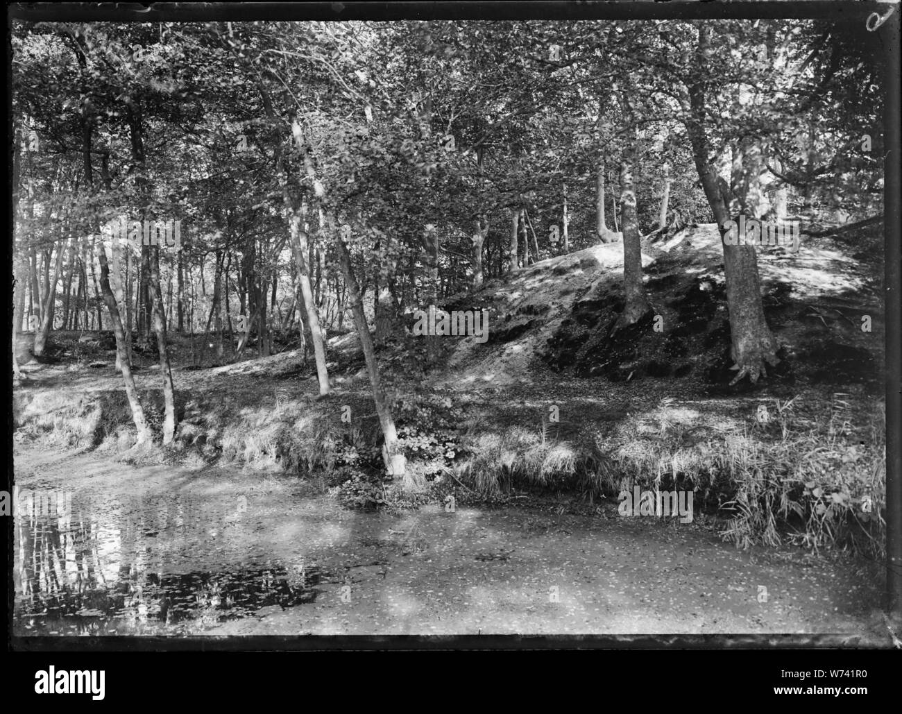 Kattenberg hi-res stock photography and images - Alamy