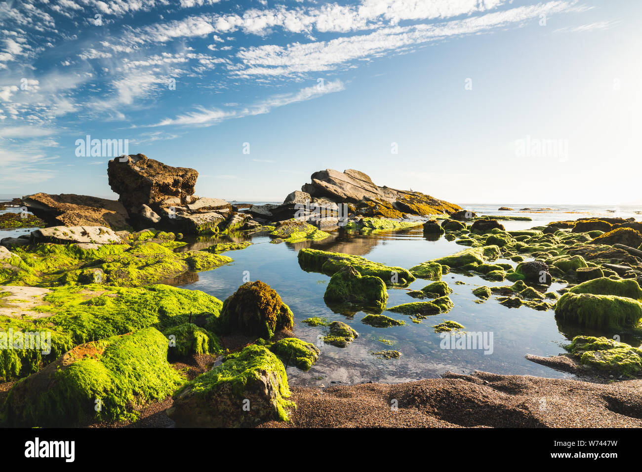 Tide Pool Sunset, Eldwayen Ocean Park, Pismo Beach, California Stock ...