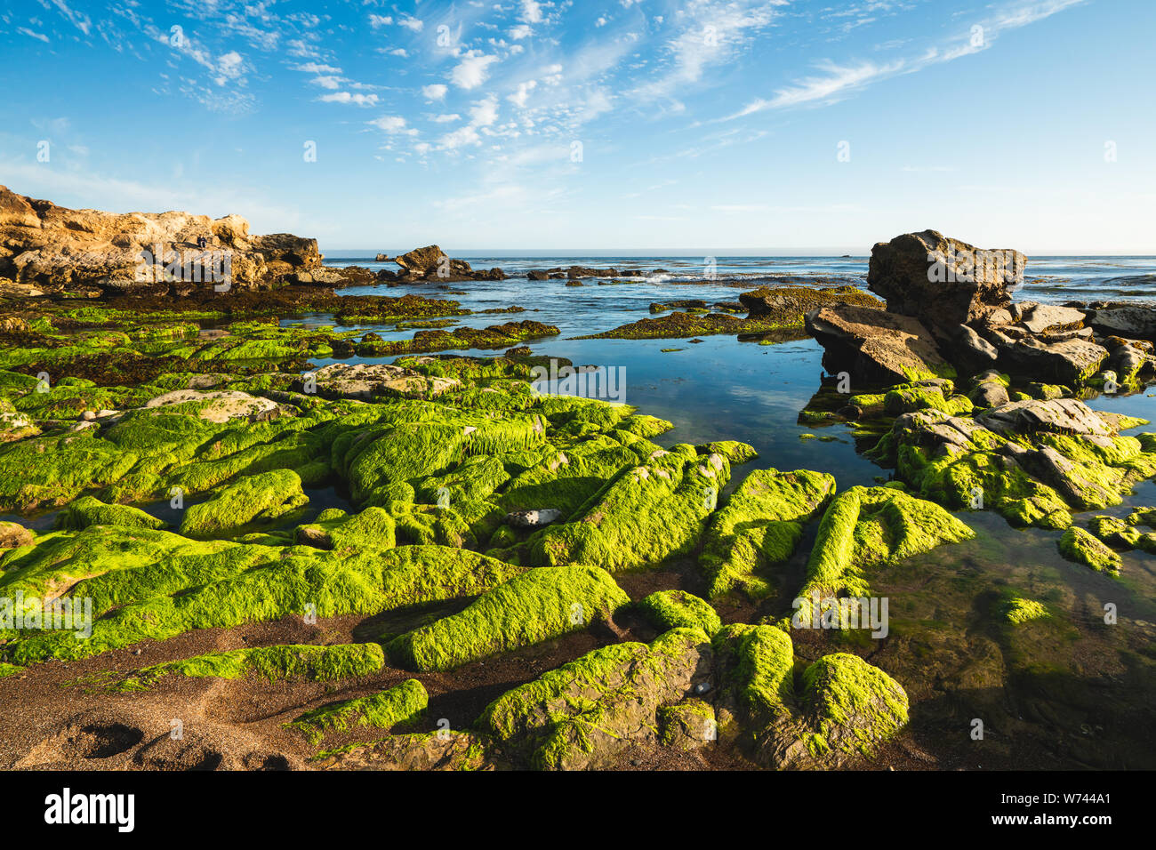 Tide Pool Sunset, Eldwayen Ocean Park, Pismo Beach, California Stock ...