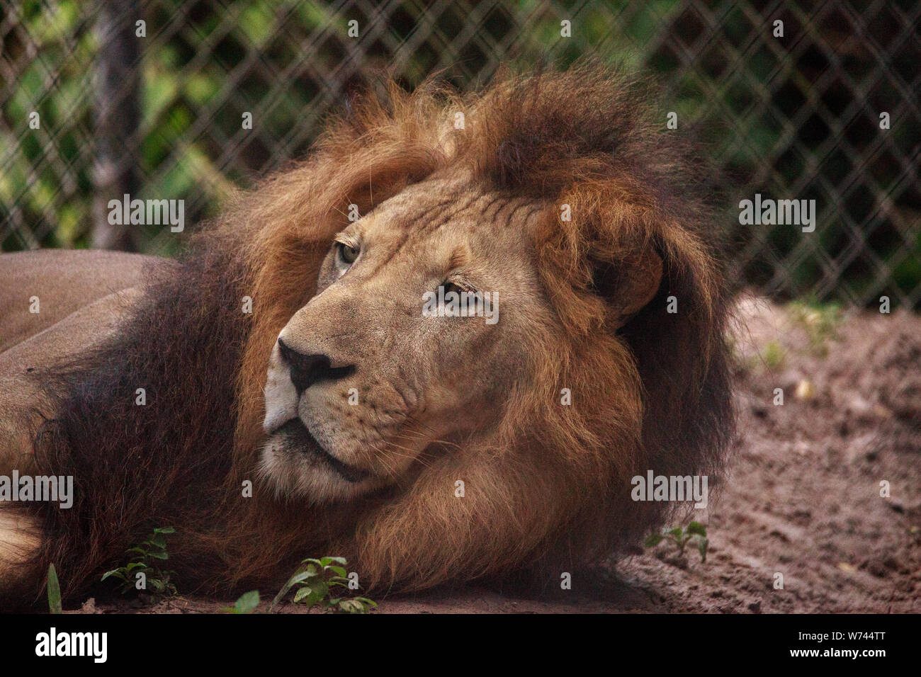 Sub saharan african hi-res stock photography and images - Alamy