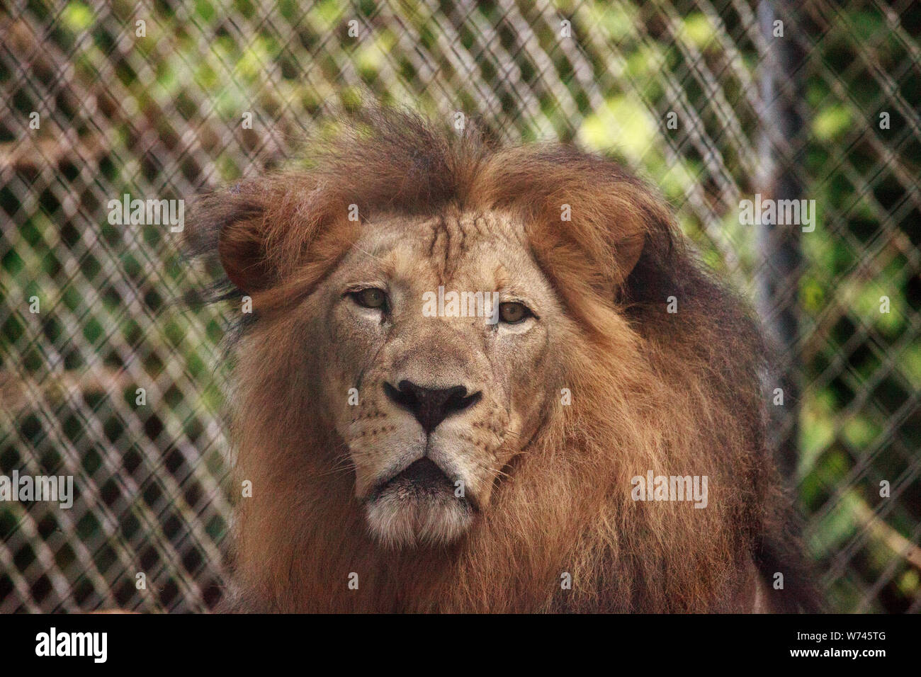 Sub saharan african hi-res stock photography and images - Alamy