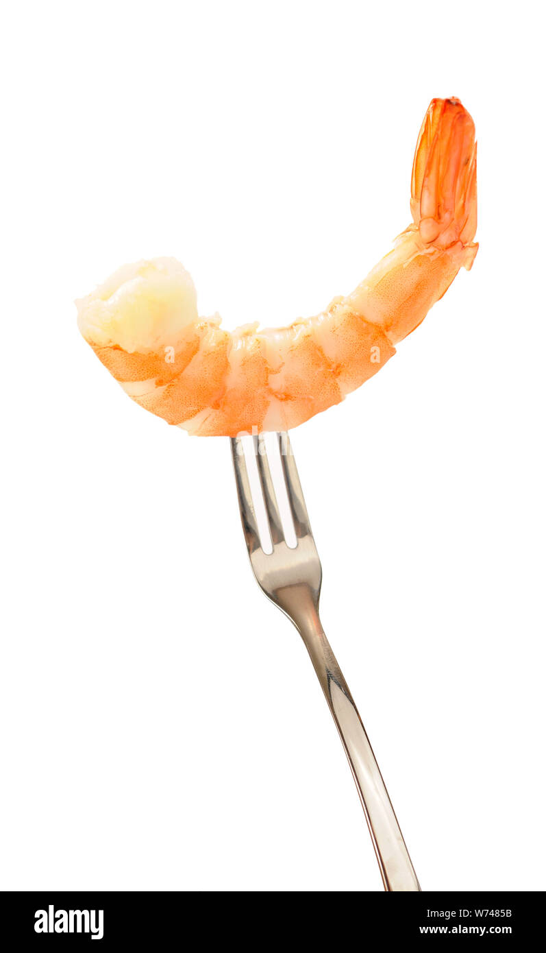 an unshelled boiled shrimp in fork isolated on white Stock Photo - Alamy