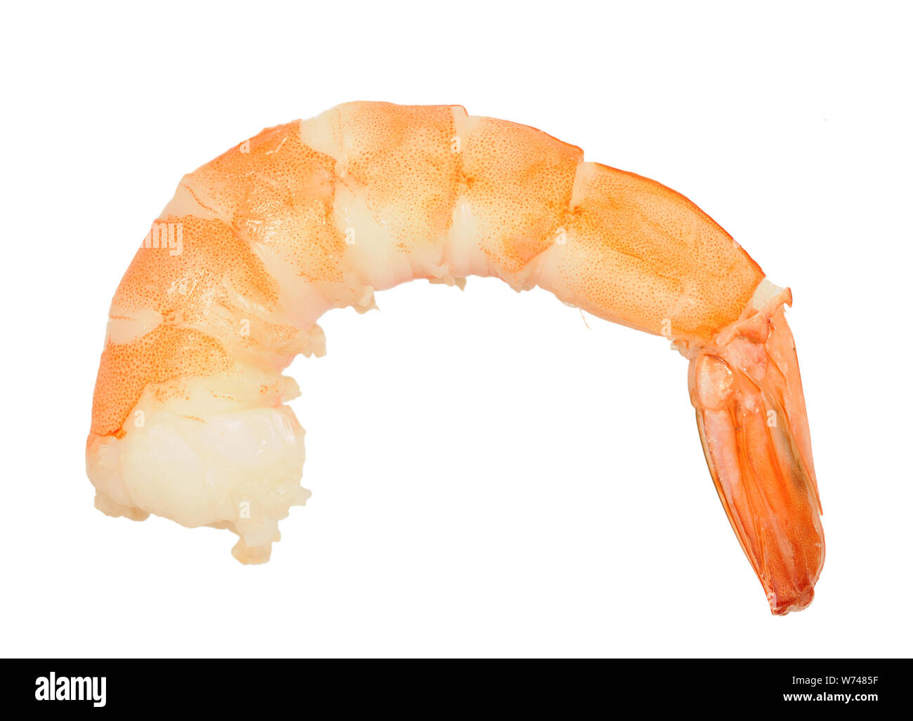 Unshelled prawn hi-res stock photography and images - Alamy