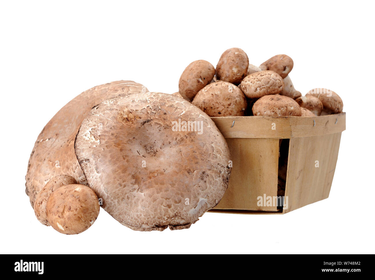 mini portabella mushroom in bucket isolated on white Stock Photo - Alamy