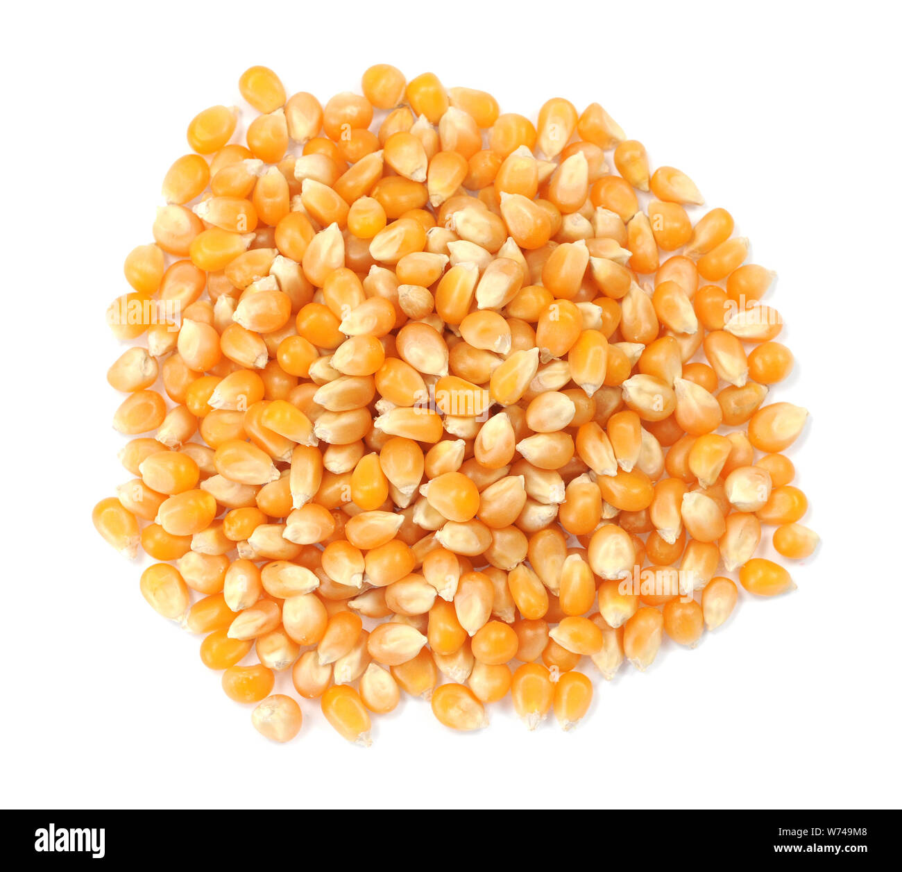 a group of dried corn on white Stock Photo - Alamy