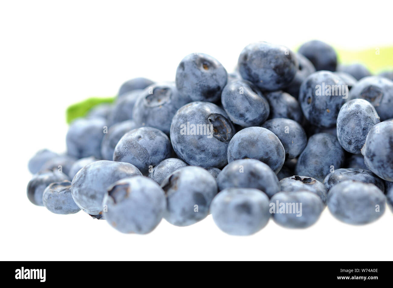 blueberry and mint isolated on white Stock Photo - Alamy