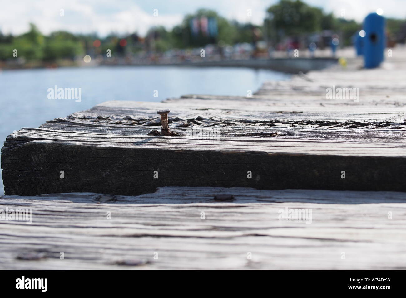 Dangerously loose plank of wood with nail showing, Dow's Lake boardwalk ...