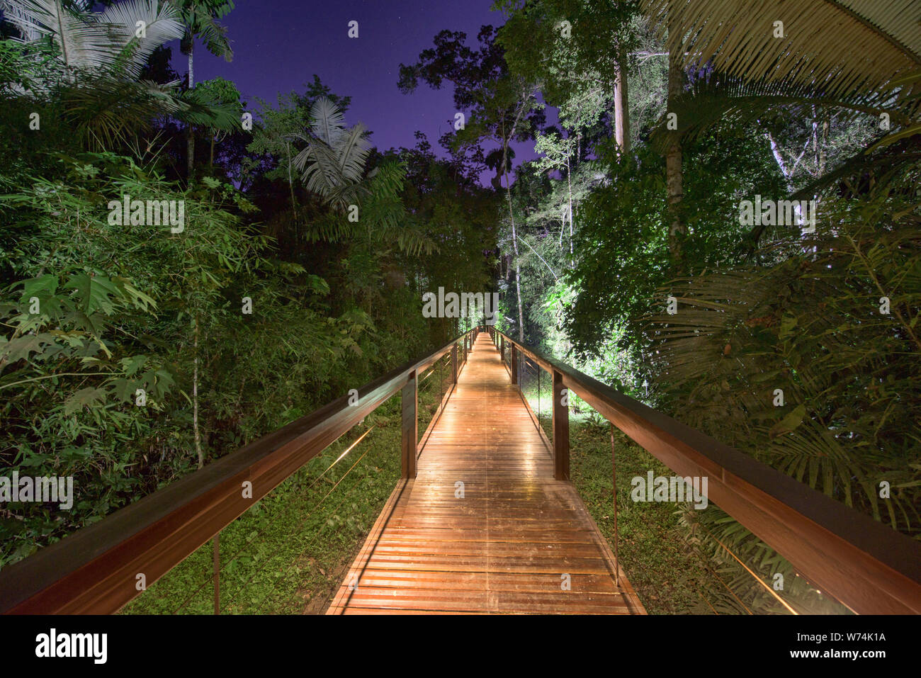 Luxury resort in the Amazon rainforest, Tambopata, Peru Stock Photo - Alamy