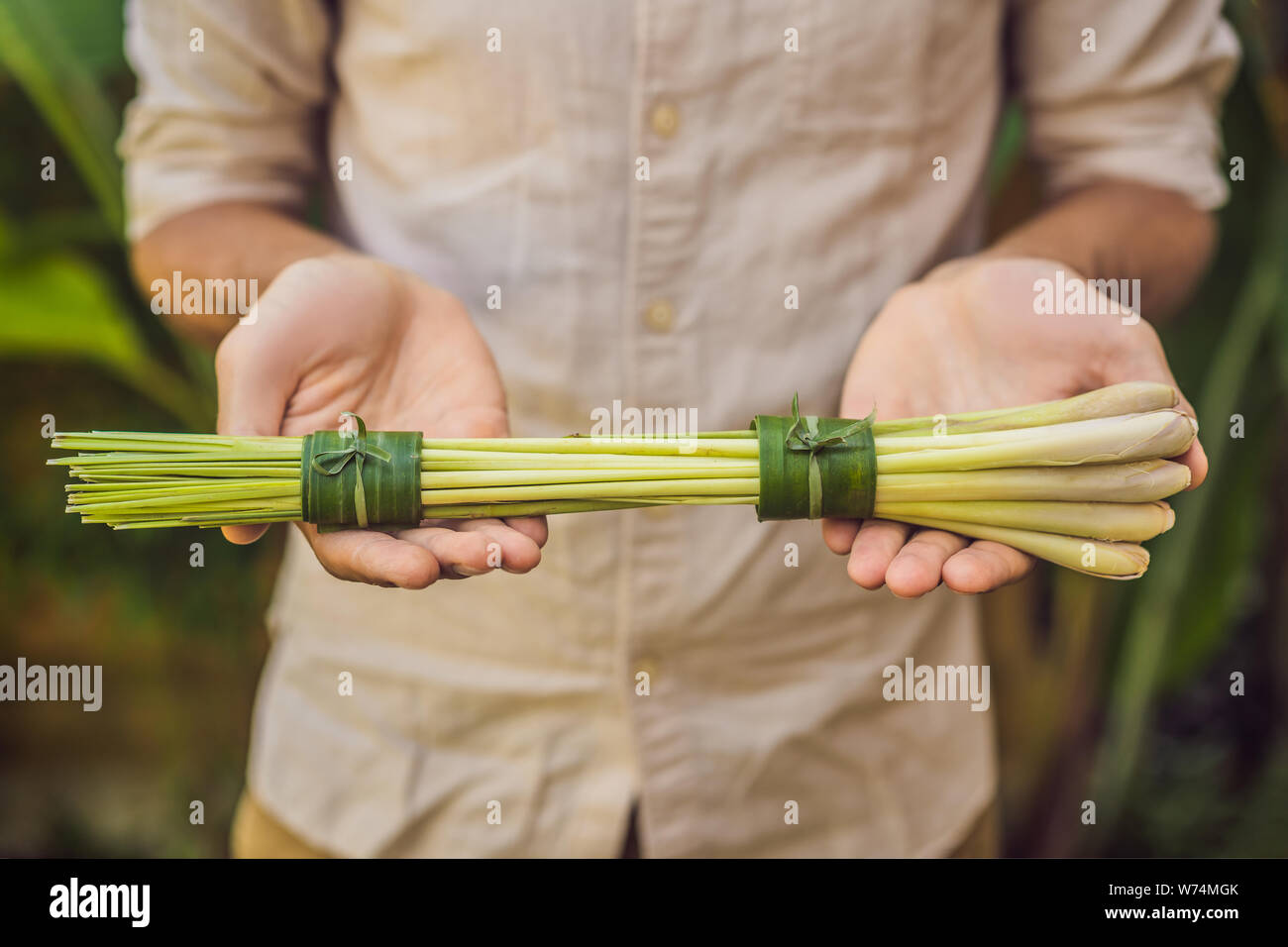Eco-friendly product packaging concept. Lemongrass wrapped in a banana ...
