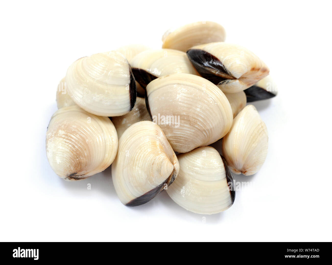 Steamers clams hi-res stock photography and images - Alamy