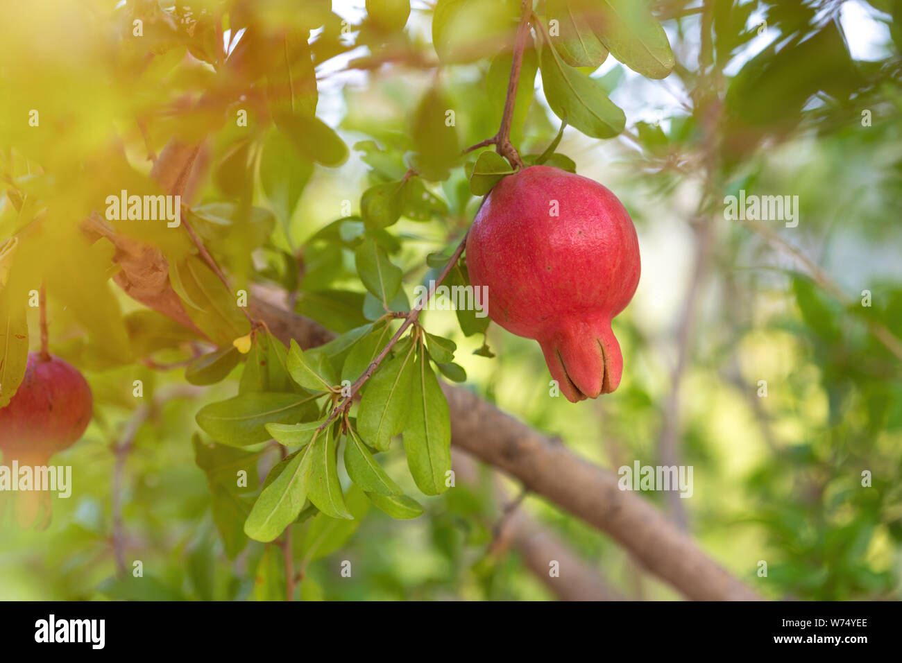 Nar circle hi-res stock photography and images - Alamy