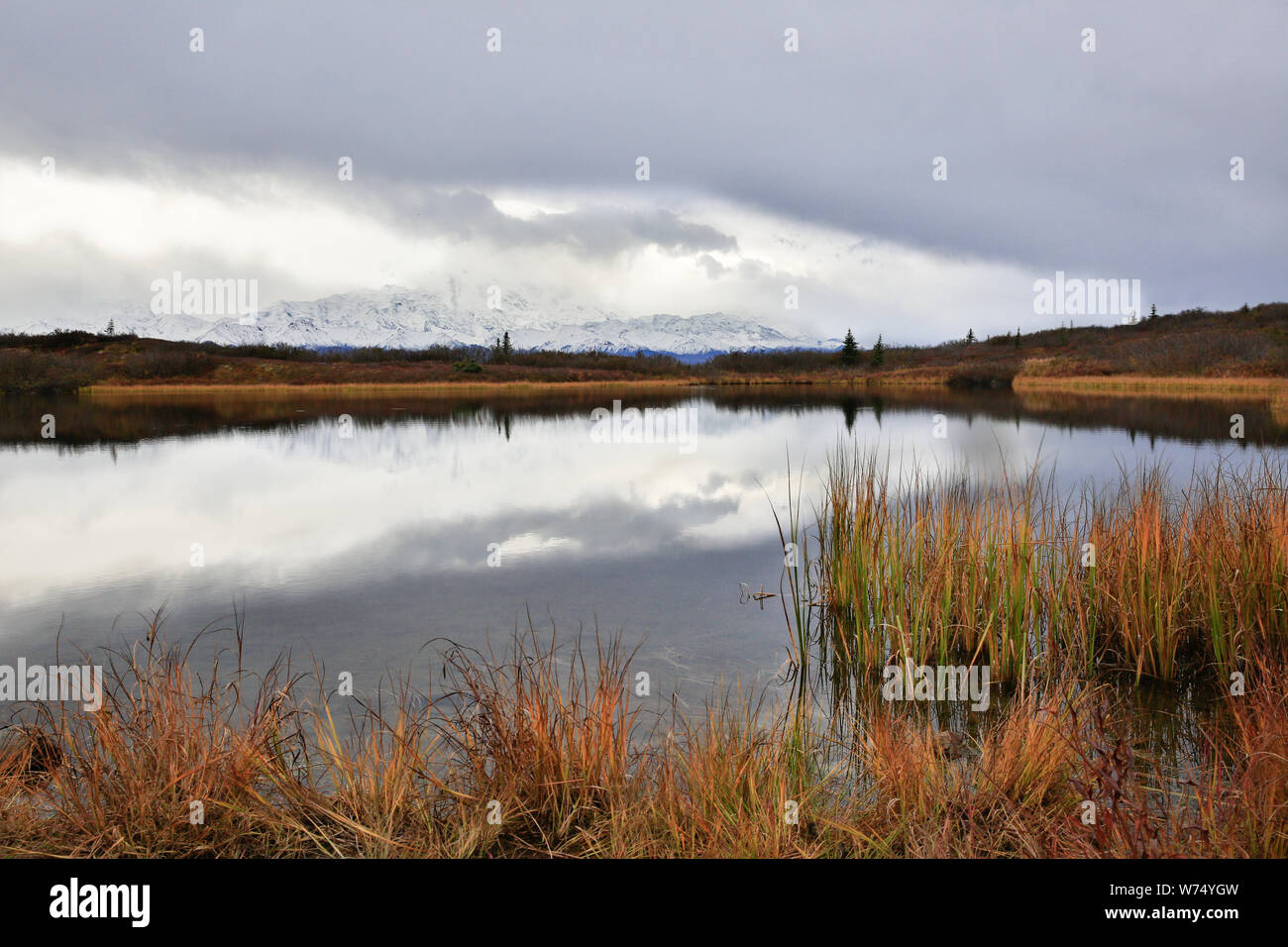Interior alaska trees hi-res stock photography and images - Alamy