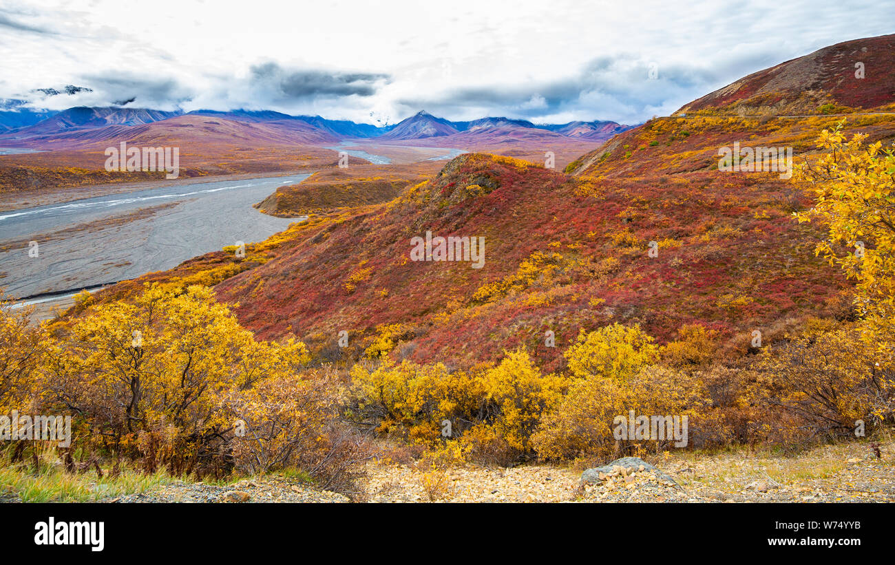 View of denali national park hi-res stock photography and images - Alamy