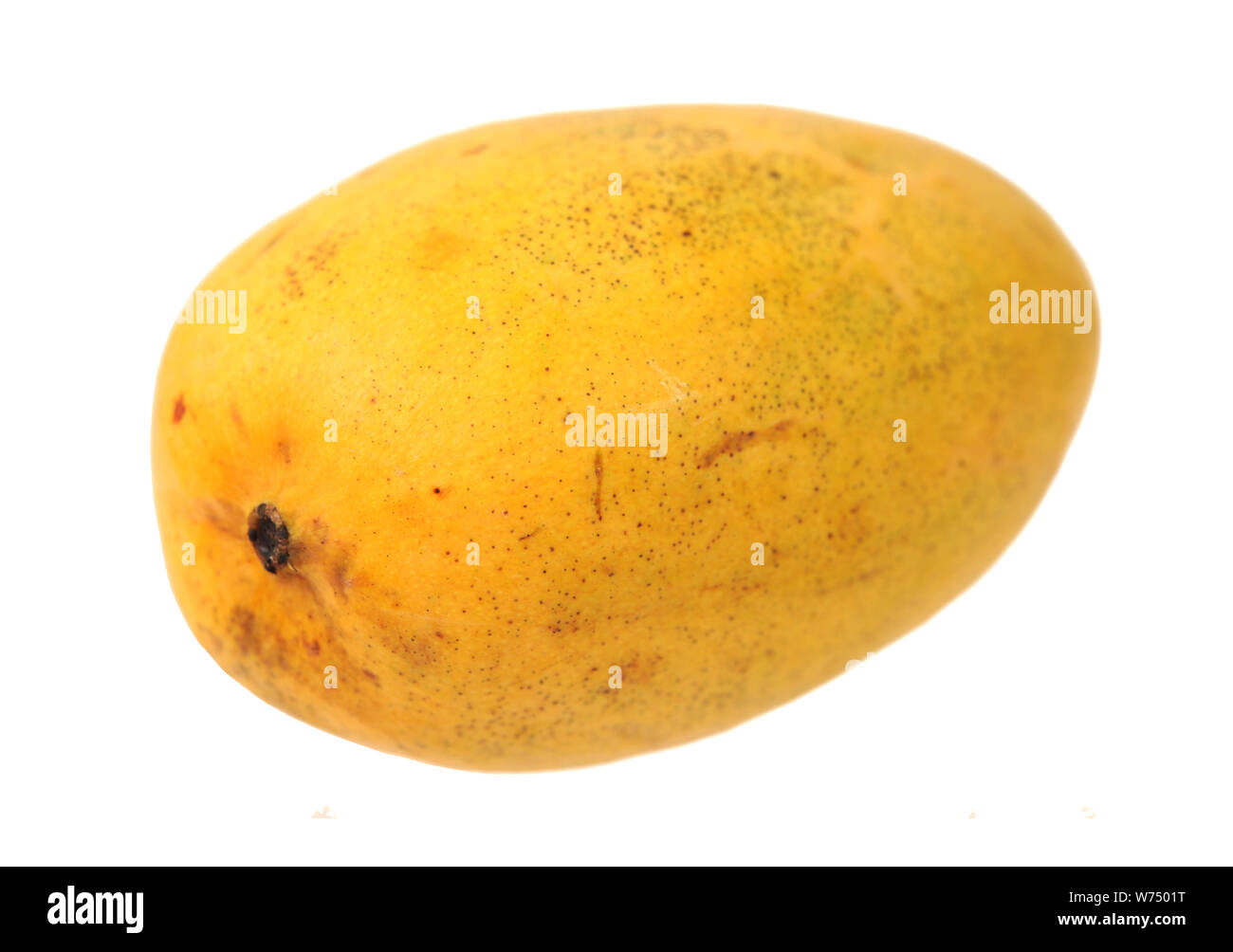a single mango isolated on white background Stock Photo - Alamy