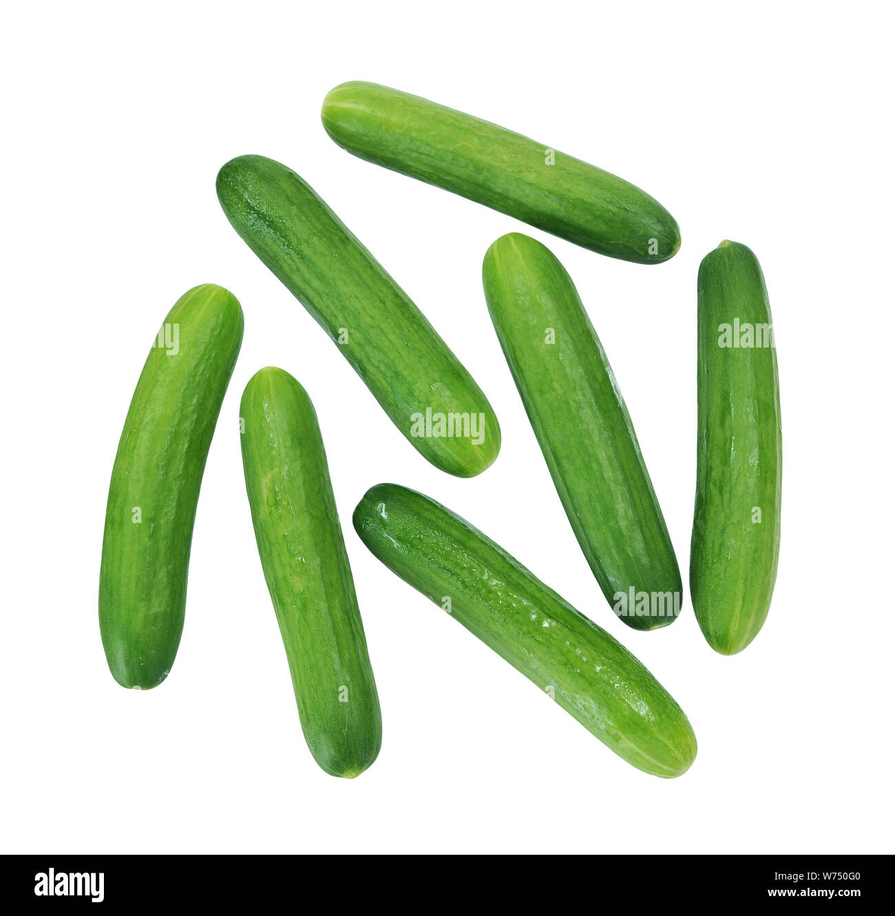 seven cucumbers isolated on white background Stock Photo - Alamy