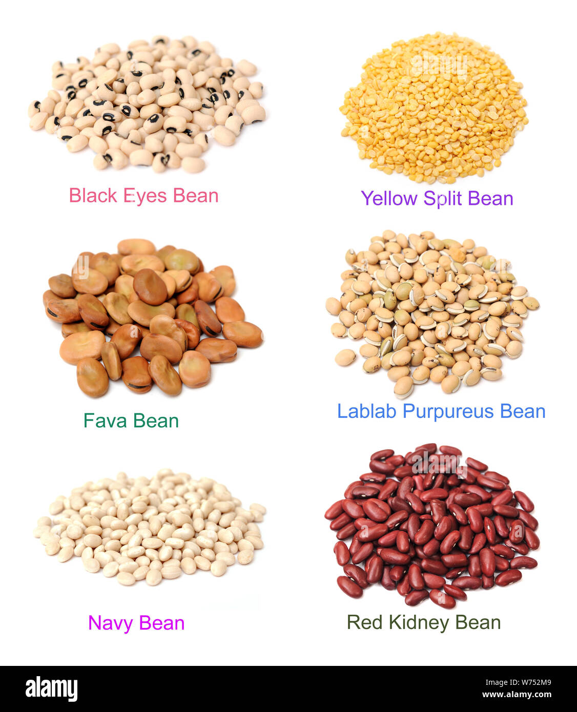 mix of bean on white background Stock Photo - Alamy