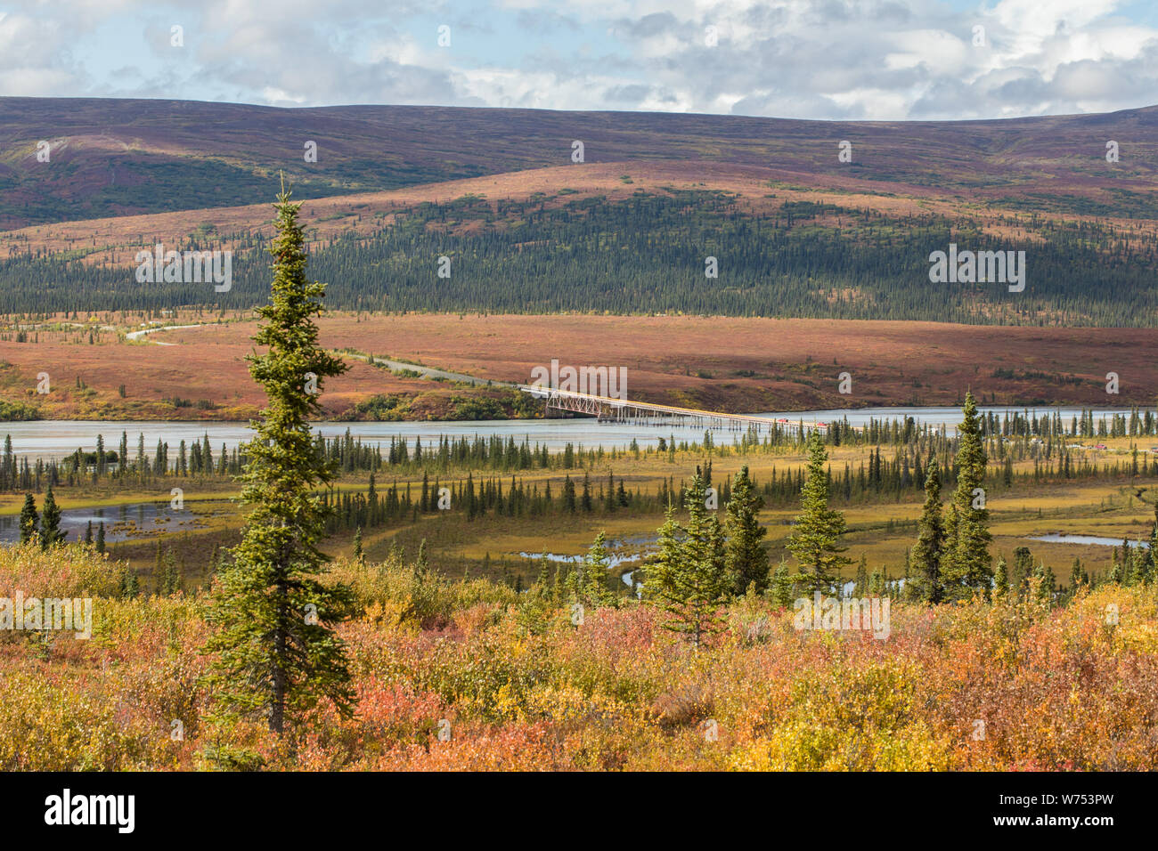 Fall Scenery along the Denali Highway, Alaska Stock Photo - Alamy