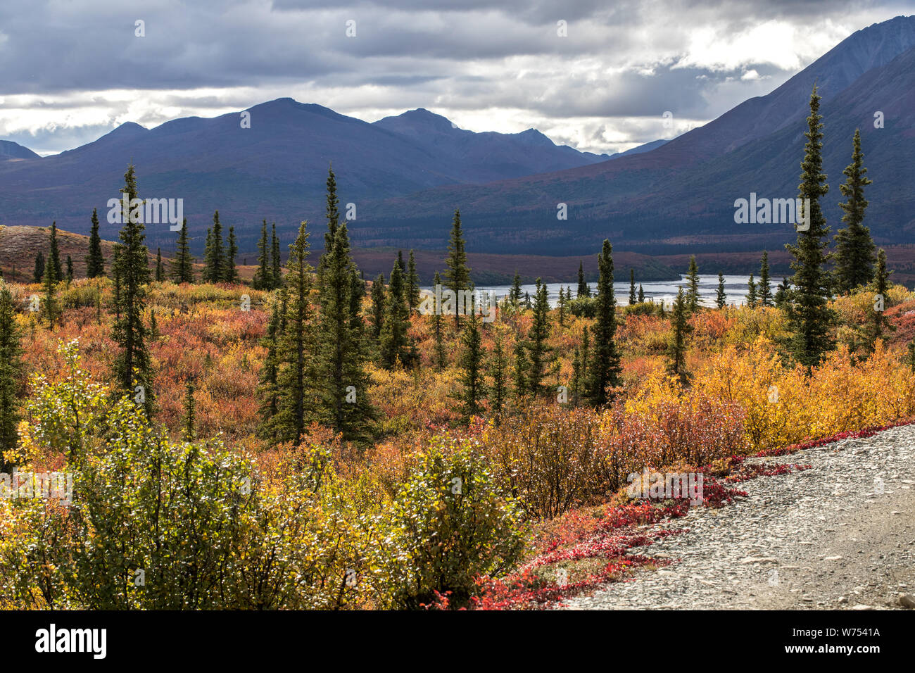 Fall Scenery along the Denali Highway, Alaska Stock Photo - Alamy