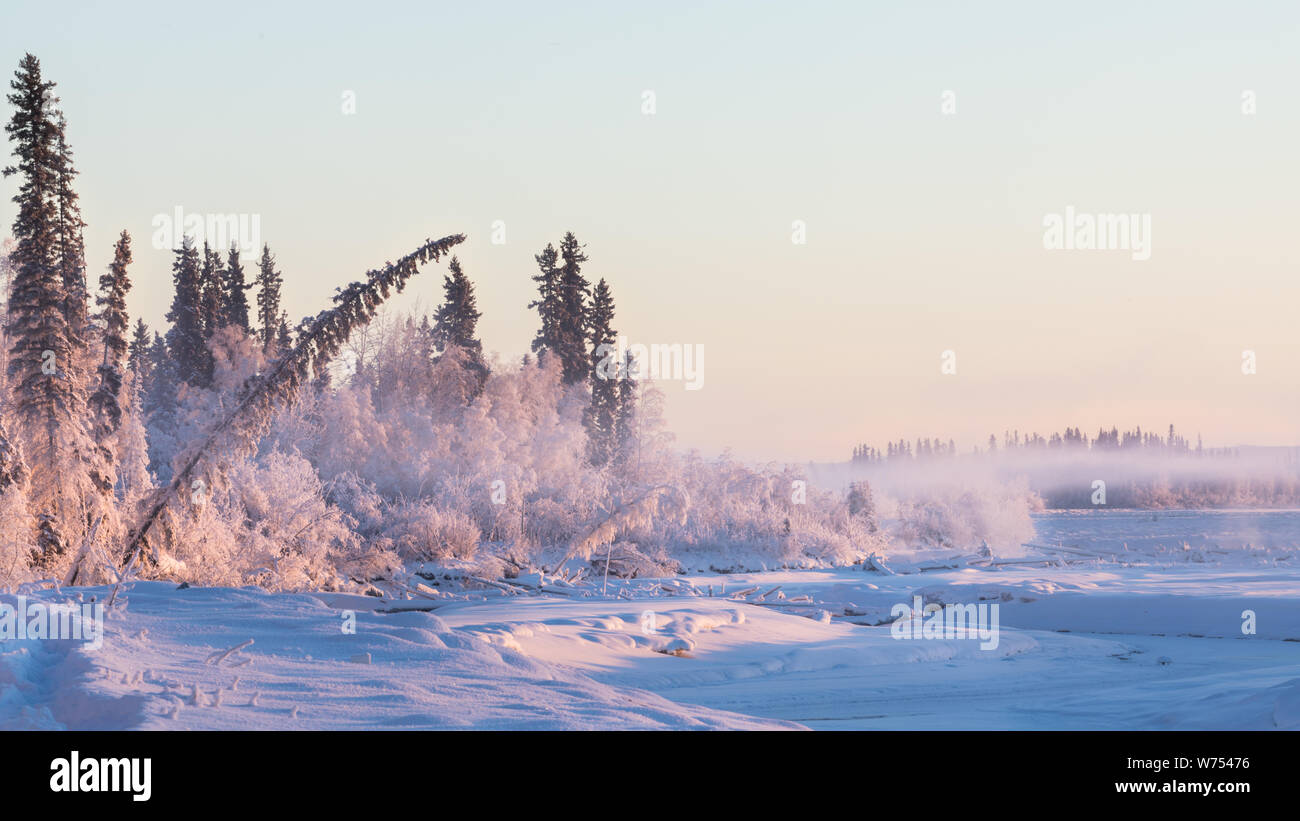 Winter View at the Tanana River, Alaska Stock Photo - Alamy