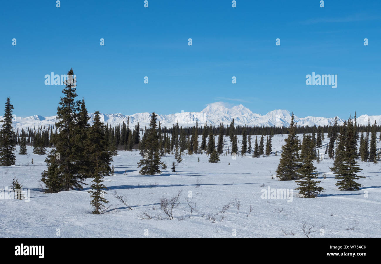 Mt. Denali View in Alaska Stock Photo - Alamy