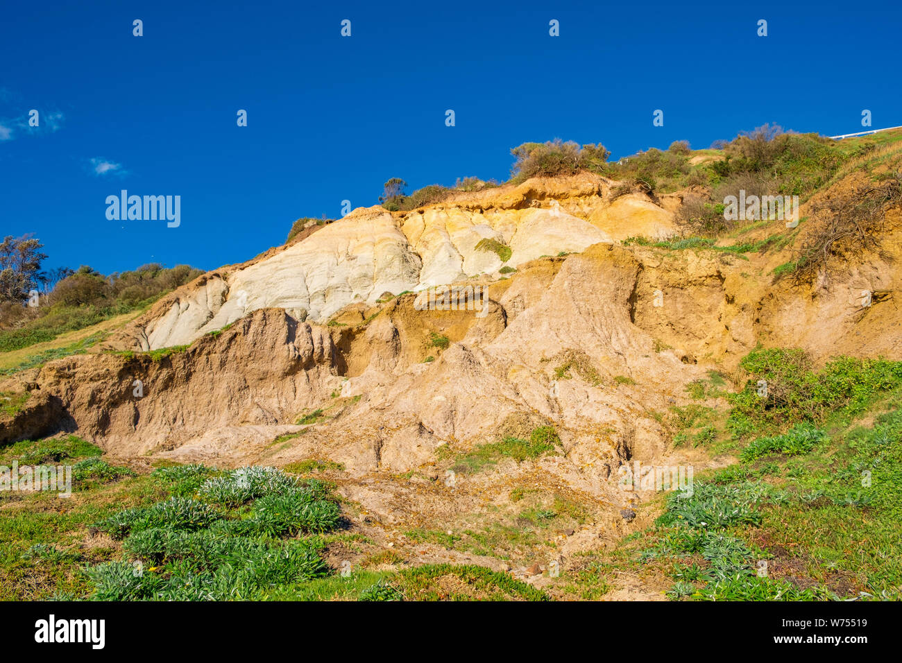 Eroding cliffs of Olivers Hill in Frankston, Victoria, Australia Stock ...