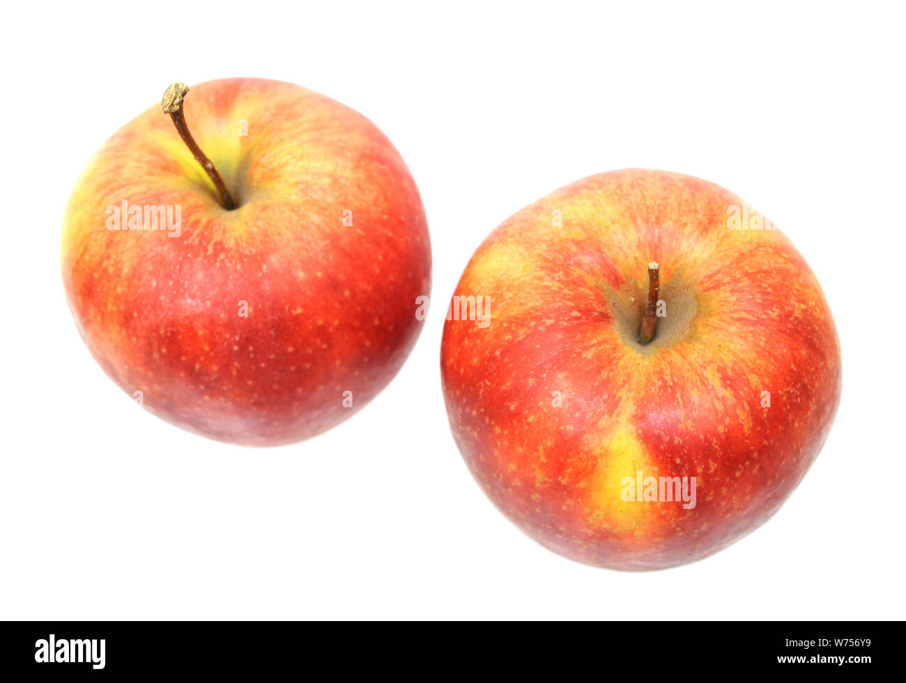 a pair of Jonagold apples isolated on white background Stock Photo - Alamy