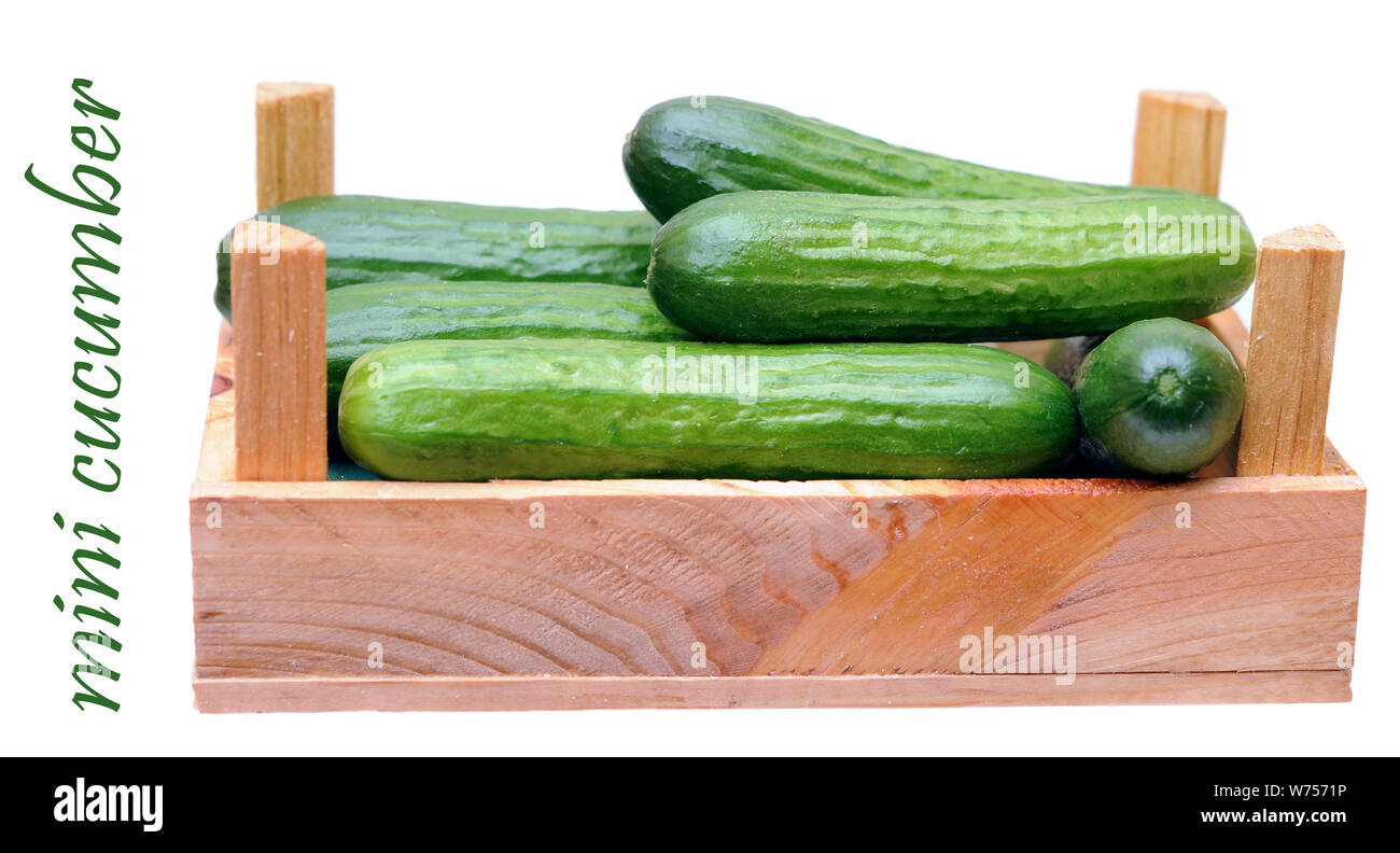 green mini cucumbers isolated on white background Stock Photo - Alamy