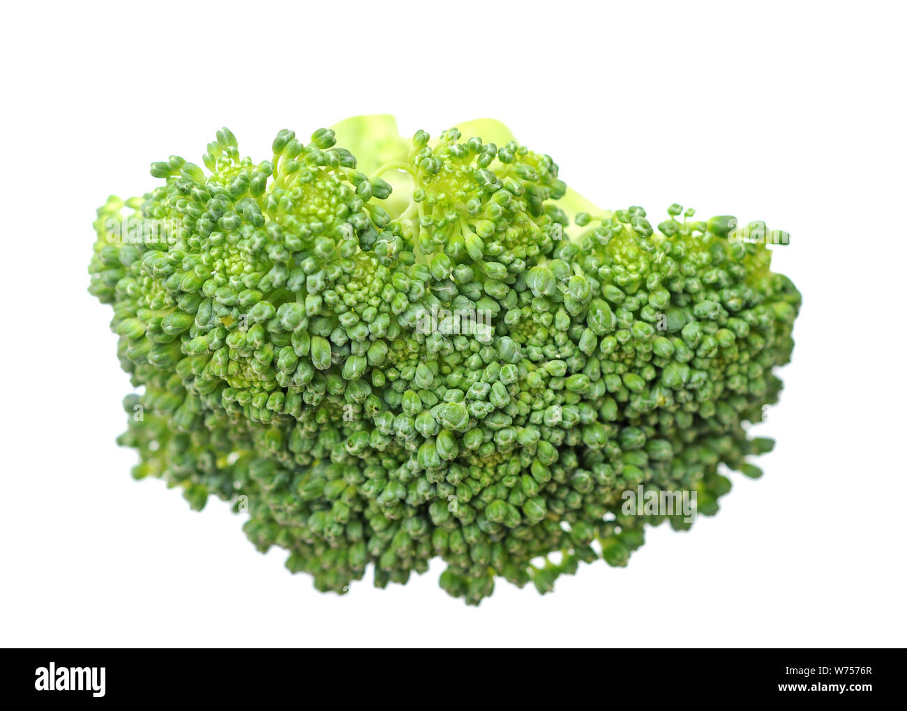 cutting broccoli isolated on white background Stock Photo - Alamy