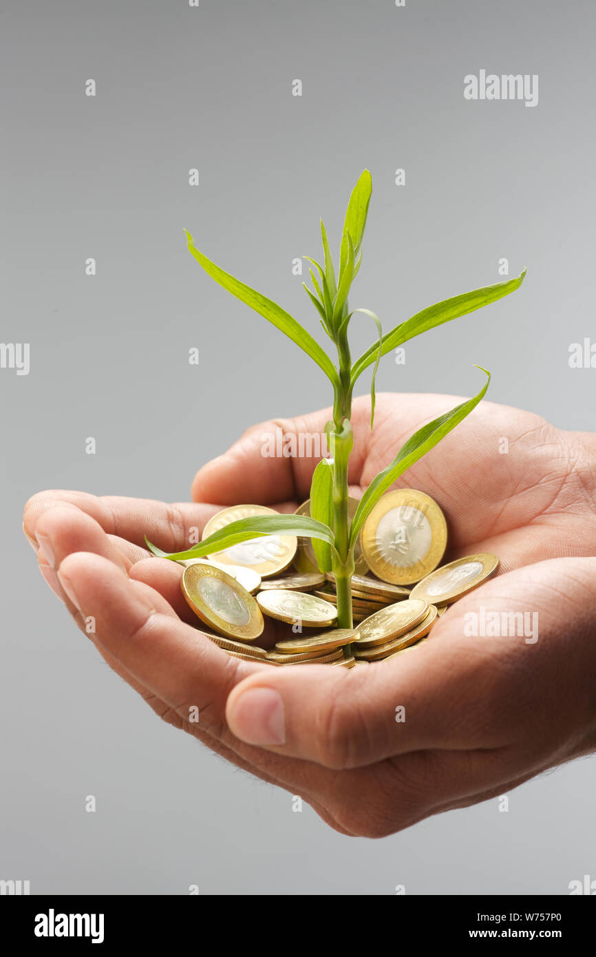 Human hand close up holding hands wealth part of hi-res stock ...